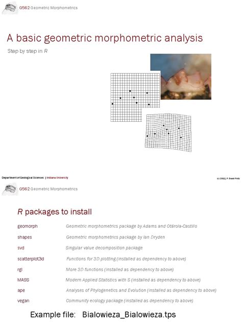 A Step By Step Guide To Performing A Basic Geometric Morphometric Analysis In R Pdf