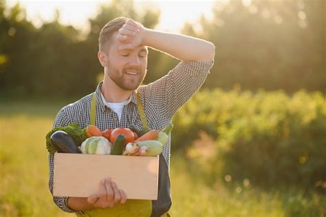 농장에서 바이오 야채 상자를 들고 있는 농부 수확 한 야채 상자를 보여주는 행복한 남자 건강한 생활방식에 대한 스톡 사진 및 기타 이미지 건강한 생활방식 건강한 식생활