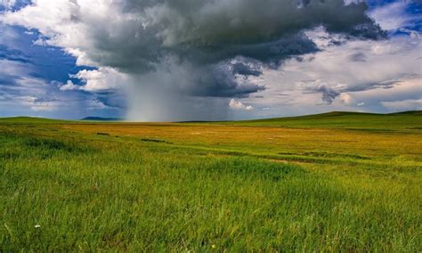 Стопаните могат да подават заявления за оценка на щети от падналите градушки до 10 работни дни