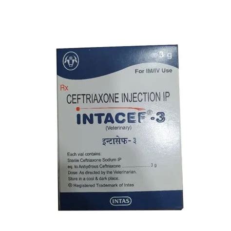 Intacef Injection