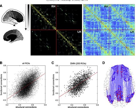 Figure 2 From Can Structure Predict Function In The Human Brain