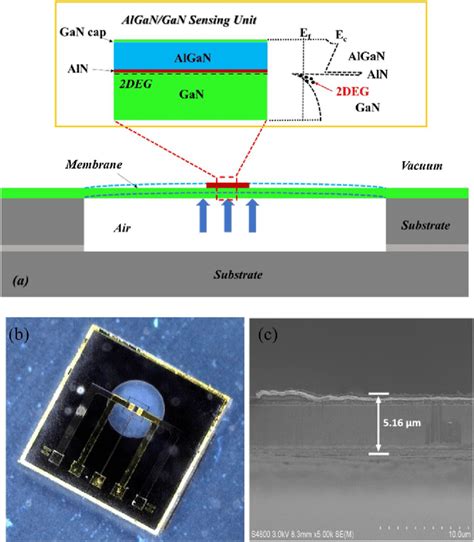 A A Schematic Image Of Mems Algan Gan Pressure Sensor B An Optical Download Scientific