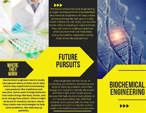 Biochemical Engineering Brochure By Snack Time Teacher Tpt