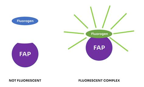 Technology Spectragenetics