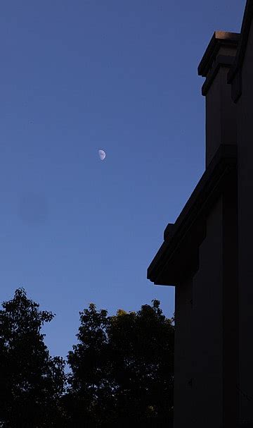 Gambar Background Pemotretan Vertikal Vektor Dan File Psd Untuk Unduh Gratis Pngtree