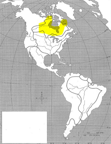World Unit 4 Map Quiz Flashcards Quizlet World Unit 4 Map Quiz Flashcards Quizlet