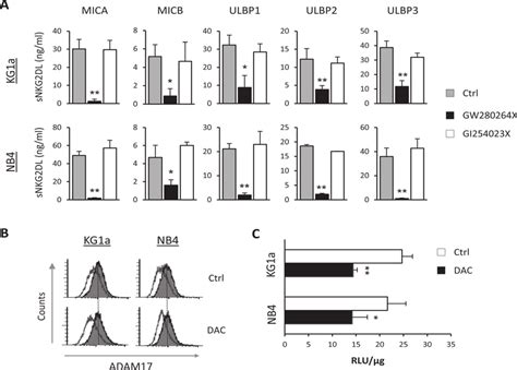 Adam17 But Not Adam10 Regulates Nkg2dl Shedding In Aml Cell Lines Download Scientific