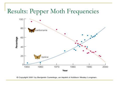 Ppt Lecture 3 Natural Selection Powerpoint Presentation Id 1194660