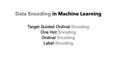Data Encoding In Machine Learning
