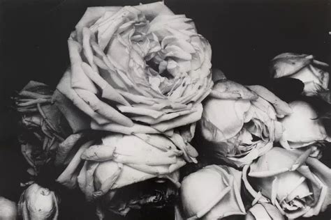 Edward Steichen Découvrez Le Travail Du Célèbre Photographe