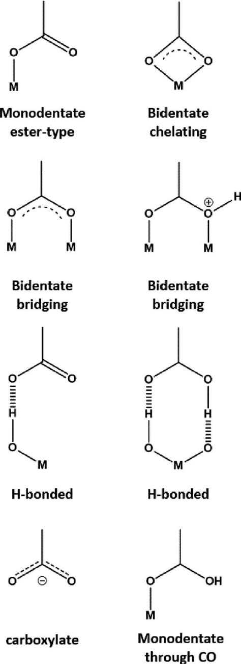 Possible Binding Modes For A Carboxylate Anchor Group Binding To A