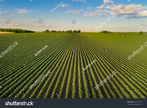 Beautiful Open Field