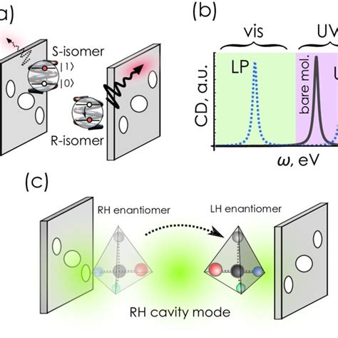 Potential Implications Of Chiral Strong Coupling A Selective Download Scientific Diagram