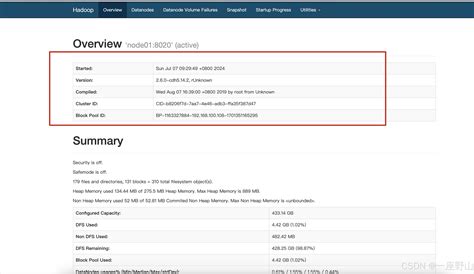 Hadoop分布式中某个 节点报错的解决案例 数据节点出错的解决方法 Csdn博客