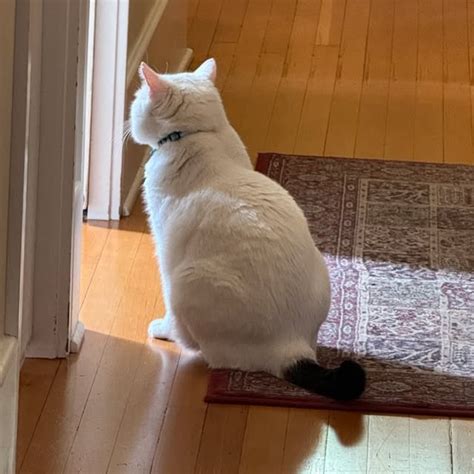 어제 스레드에 올렸던 매니저 얘기를 가족한테 하니까 가족 왈 ”말 그따구로 하지말라고 얘기를 해 이러나 저러나 널 싫어하는 건 똑같잖아 맞는 말이긴 한데 난 회사에서