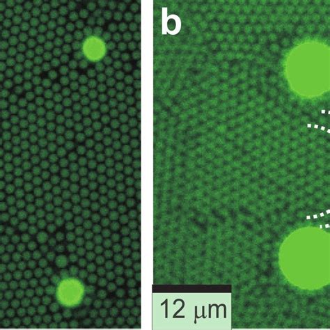 Factors Affecting Grain Boundary Pinning A Impurity Spacing Grain Download Scientific