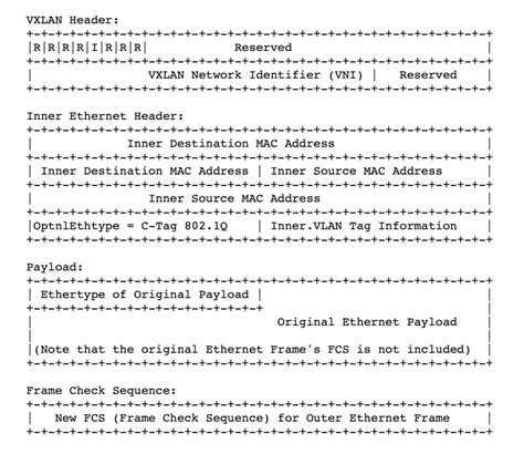 About Vxlans Packet Format And Its Implications