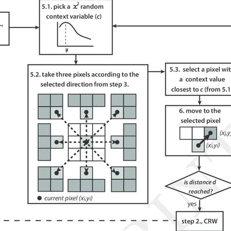 correlated random walk crw download scientific diagram