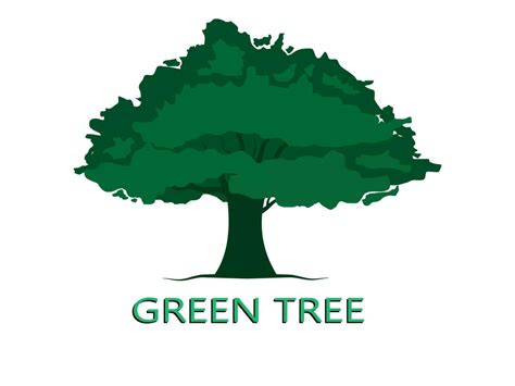 The Big Tree With Green Leaves Look Beautiful And Refreshing Tree And Roots LOGO Concept Can