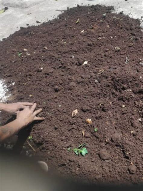 Composting 101 What Is Composting Composting Benefits Guidebest Compost Techniques