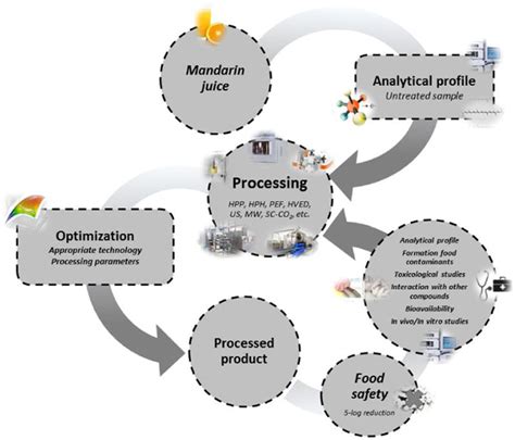 Diagrammatic Representation Of The Main Steps To Take Into Account When