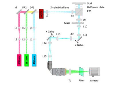 Schematic Diagram Of The Experimental Lattice Light Sheet Microscope Download Scientific Diagram