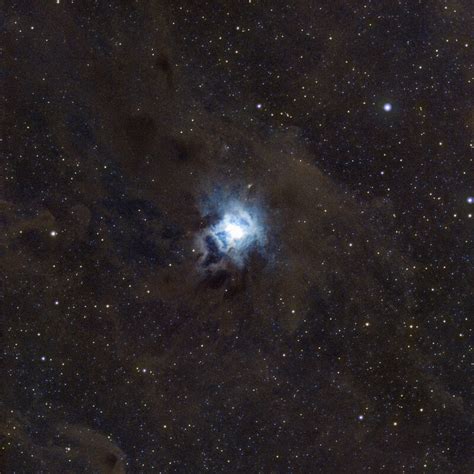 Iris Nebula First Attempt Iris Photo Gallery Cloudy Nights