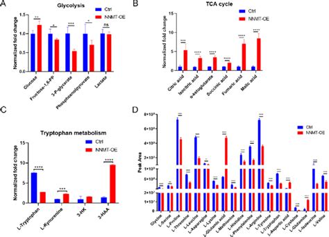 Nnmt Affected Multiple Metabolic Pathways A Intermediates In Download Scientific Diagram
