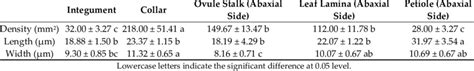 Density And Size Of Stomata On Different Parts Of Ovules And Leaves Download Scientific Diagram