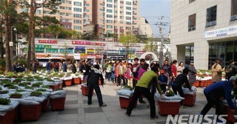 도봉구 친환경 상자텃밭 1600세트 지원