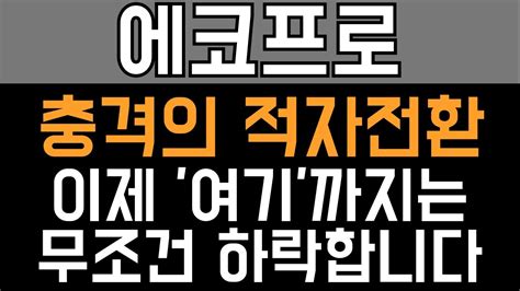 에코프로 주가전망 충격의 적자전환 이제 여기까지는 무조건 하락합니다 Youtube