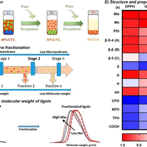 Lignin Fractionation Processes And Structure And Properties Of Lignin