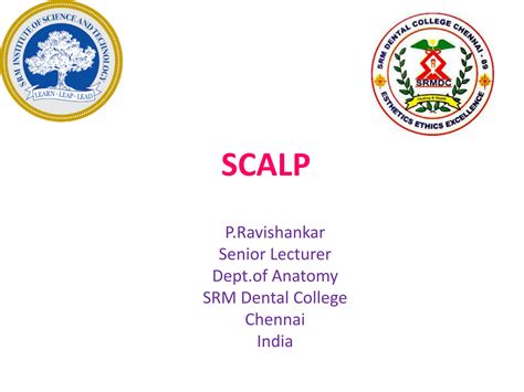 Solution Clinical Anatomy Scalp Converted Studypool