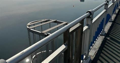 나 수영 못 해요다리 위 극단 선택 남성 구한 시민