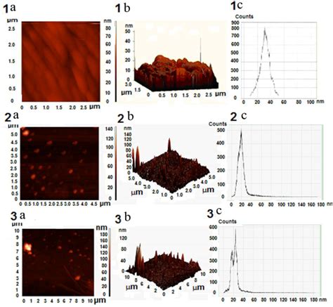 Afm Micrographs A B And Gaussian Distribution By Size C Of Aunps