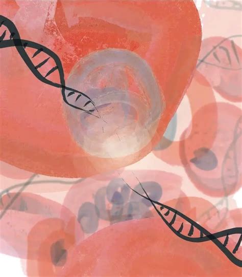 RNA Structure Types And Function