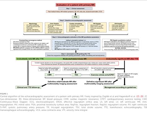 Figure 1 From Quantification Of Primary Mitral Regurgitation By Echocardiography A Practical