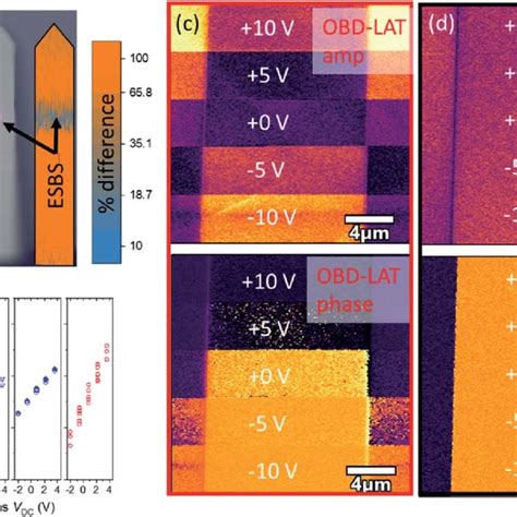a demonstration of the esbs by spatial spectrogram cantilever
