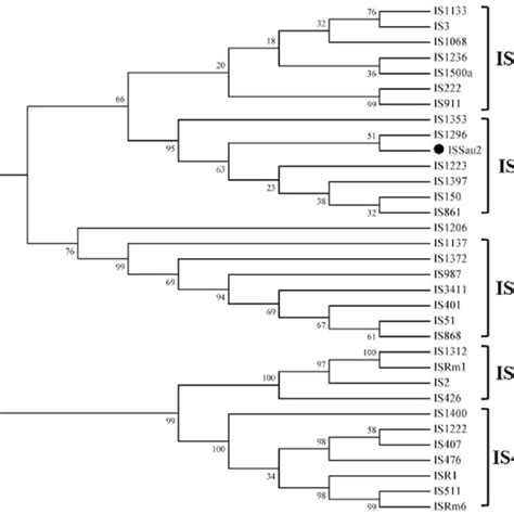 A Dendrogram Based On Alignment Of The Amino Acid Sequences Of