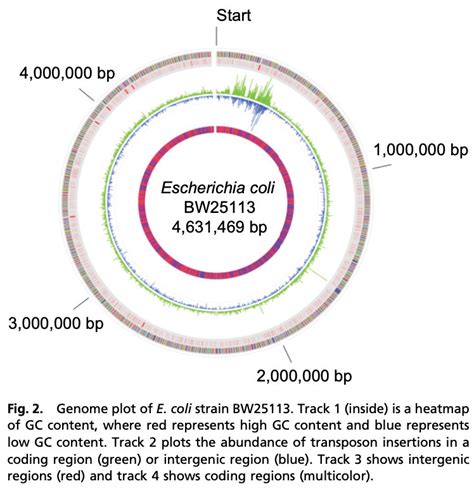 High Throughput Discovery Of Phage Receptors Us