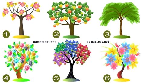 Discover Your TWO BEST Qualities Of Your Character By Choosing A Tree You Like Best Namastest
