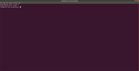 Hacking With Docker For Fun And For Profit