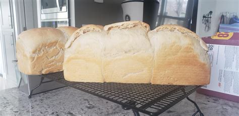 Sourdough Kefir Bread Rkefir