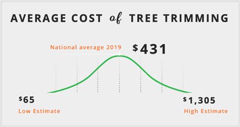 Average Cost Of Tree Trimming With Examples