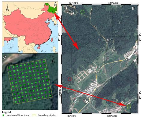 Remote Sensing Free Full Text Comparison Of Canopy Clumping Index Measuring Methods And
