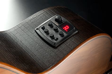 Sauvage Jumbo 12 Strings Cutaway Acoustic Electric Algam Nordic