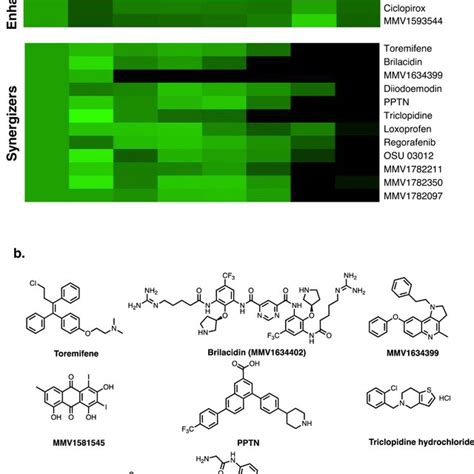 Screening Of Repurposing Chemical Libraries Identify Several Compounds