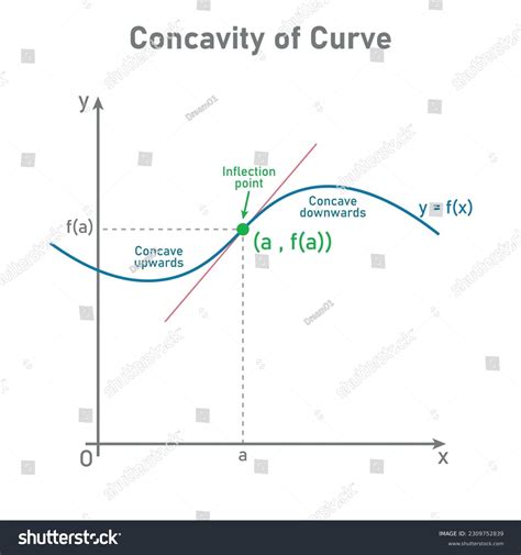 Concavity Of Curve Inflection Point Concave Royalty Free Stock