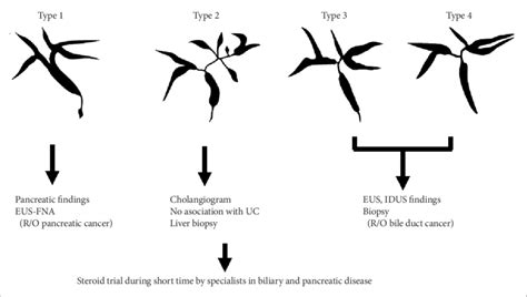 Useful Modalities In The Diagnosis Of Igg4 Related Sclerosing Download Scientific Diagram