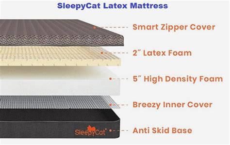 Wakefit Vs Sleepycat Mattress Comparison Which Mattress Is Better